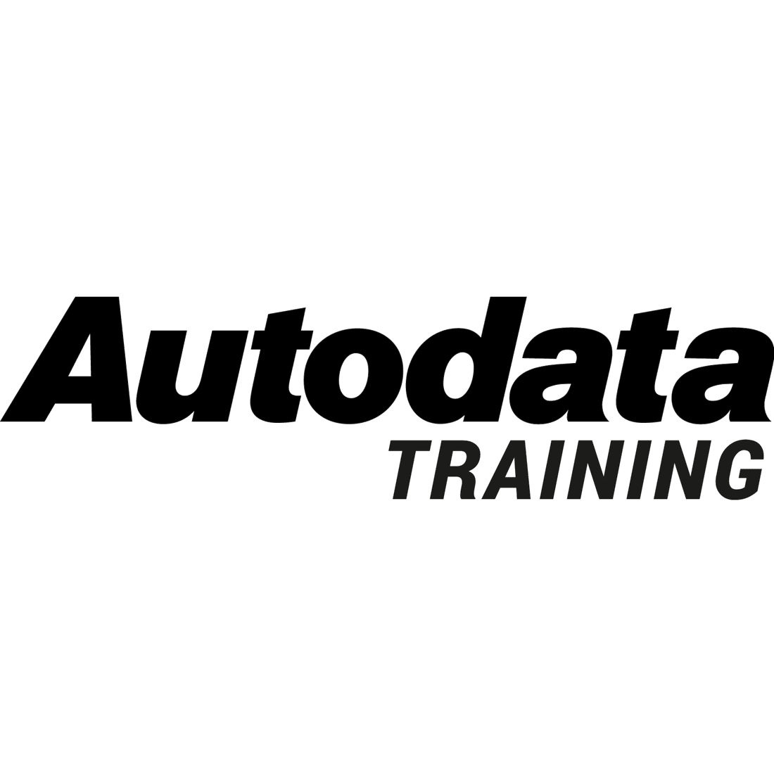 List of Autodata Training For Sale - RyansAutomotive.ie